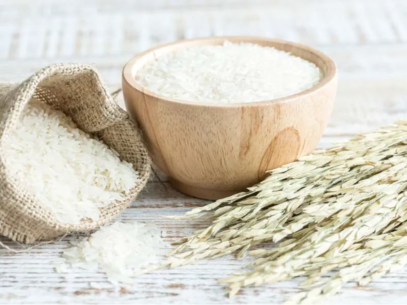 Roquette Launches a New Rice Protein - Press Release